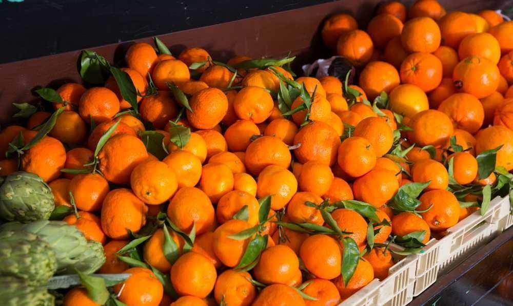 Mandalina Kaç Kalori? Mandalina Besin Değerleri Ve Kalorisi... - Sağlık ...