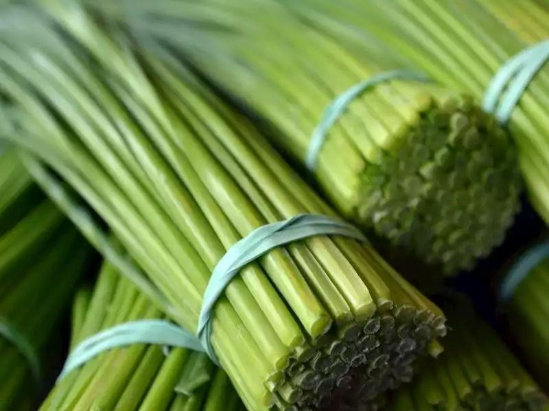 Limon Otu Nedir? Limon Otu Faydaları Nelerdir? - Sağlık Haberleri