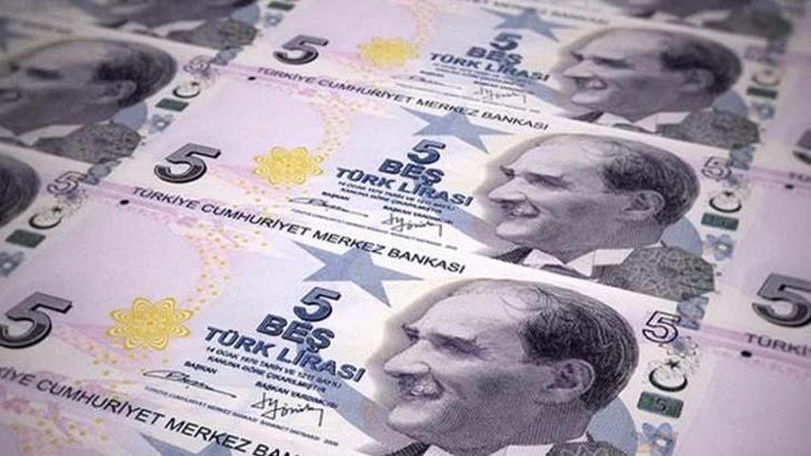 Yeni 5 TL nasıl olacak, hangi renk? Yeni 5 TL banknot resmi merak ...