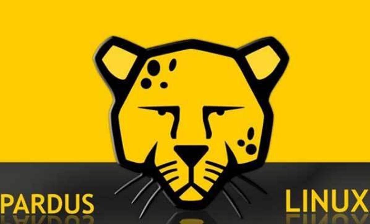 Pardus nedir? Pardus'un özellikleri nelerdir - Vatan Gazetesi Son ...