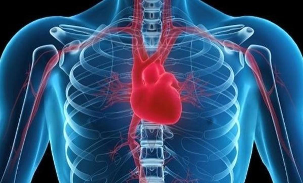 Kalp sağlığınızla ilgili bilmeniz gereken 7 gerçek - Sağlık Haberleri