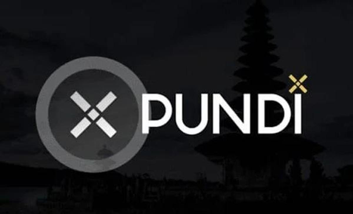 Pundi X Coin nedir? Pundi X coin (NPXS) hızlı bir düşüş gösterdi! - Gazetevatan Son Haberler