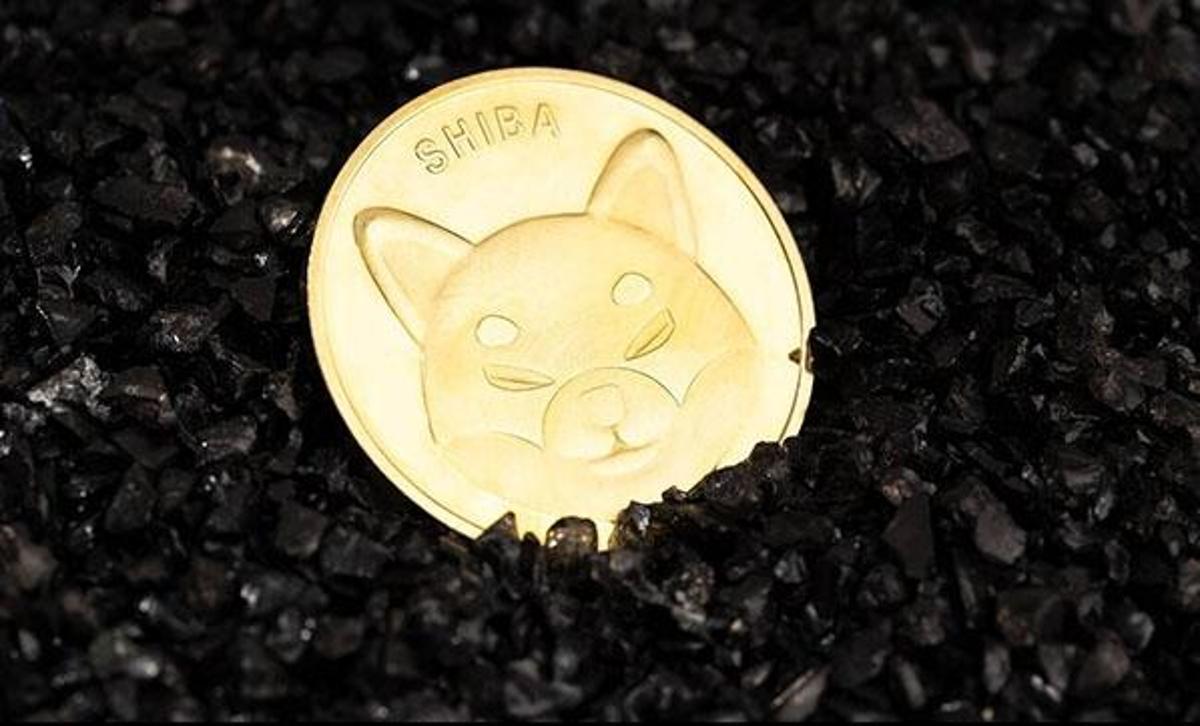 Shiba coin ne kadar oldu? Shiba coin kaç dolar? - Vatan Gazetesi ...