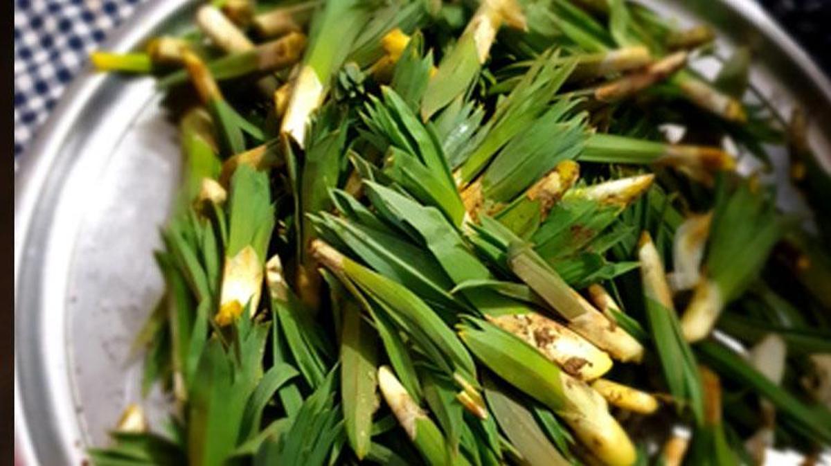 Çiriş Otu Nedir? Çiriş Otu Faydaları Nelerdir? - Sağlık Haberleri