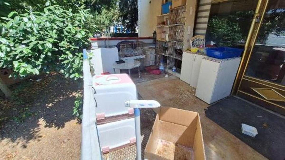 Pet shop katliamı! Böyle bir olay hiç yaşamadım - Yaşam Haberleri