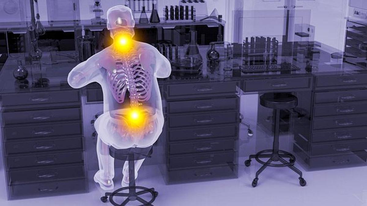 Ergonomi Nedir? Ergonomi Örnekleri Nelerdir? – GIAU