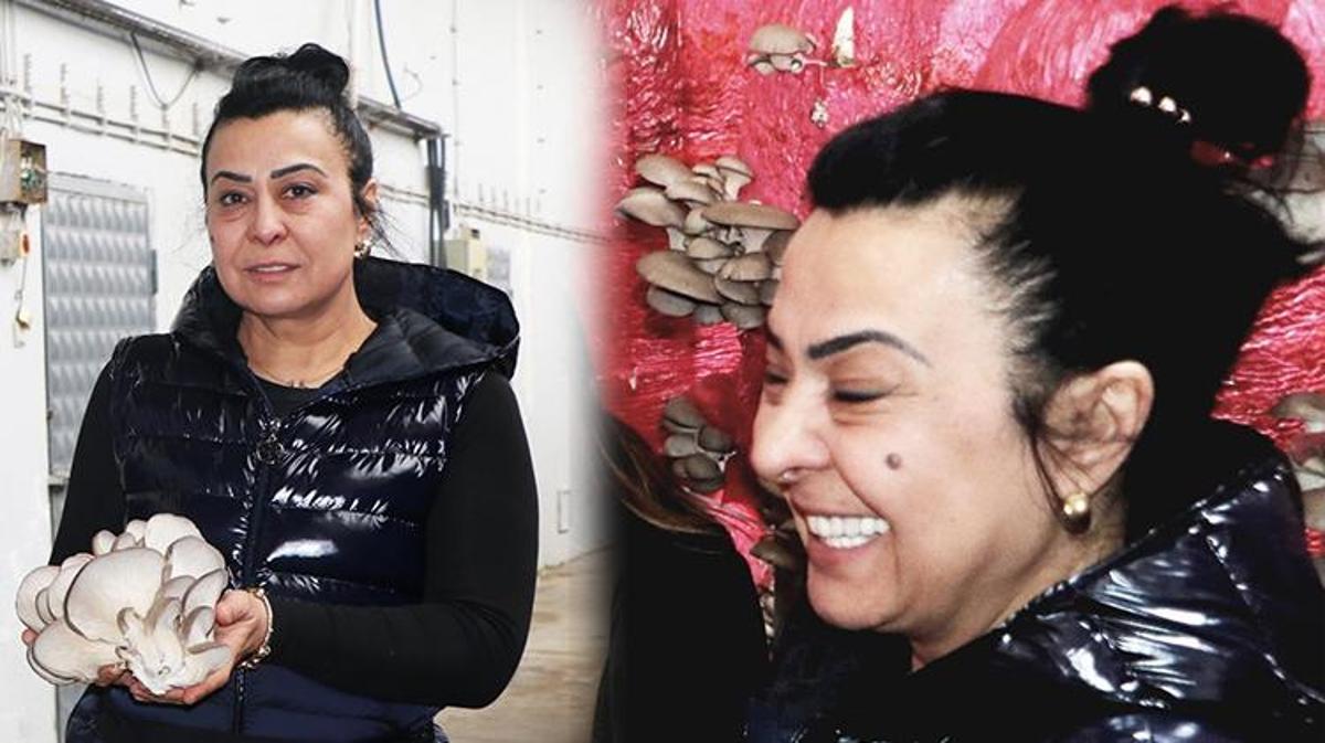 Yalova'da kadın girişimci domuz bağıyla bağlandıktan sonra öldürüldü ...