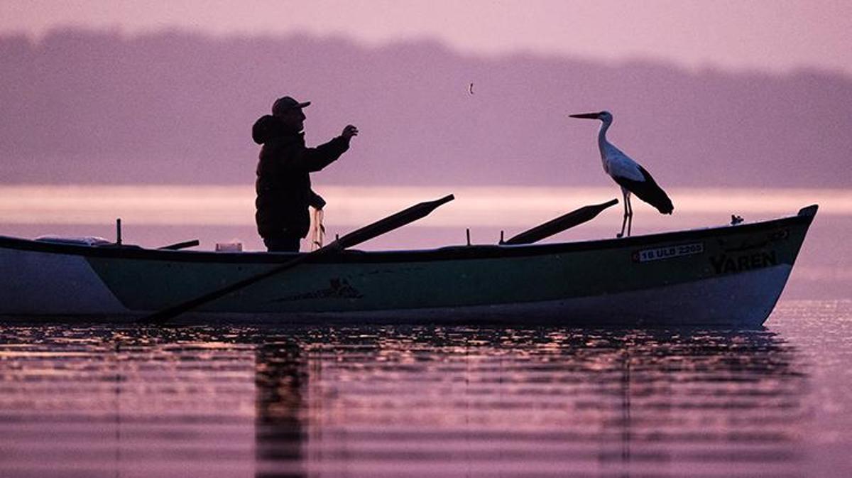 Alper Tüydeş'in 'Yaren Leylek' fotoğrafına İspanya’dan birincilik ödülü ...