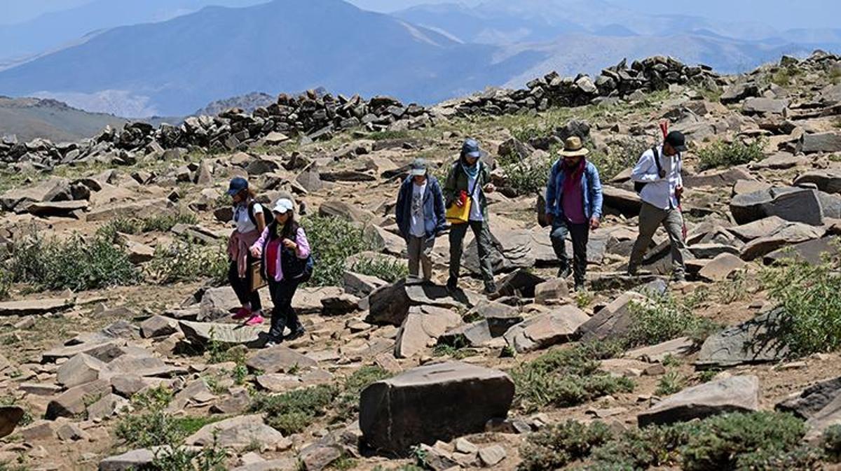 Van'da 3 bin rakımda keşfedildi! İlk gün 300 tane bulundu, sayı giderek ...