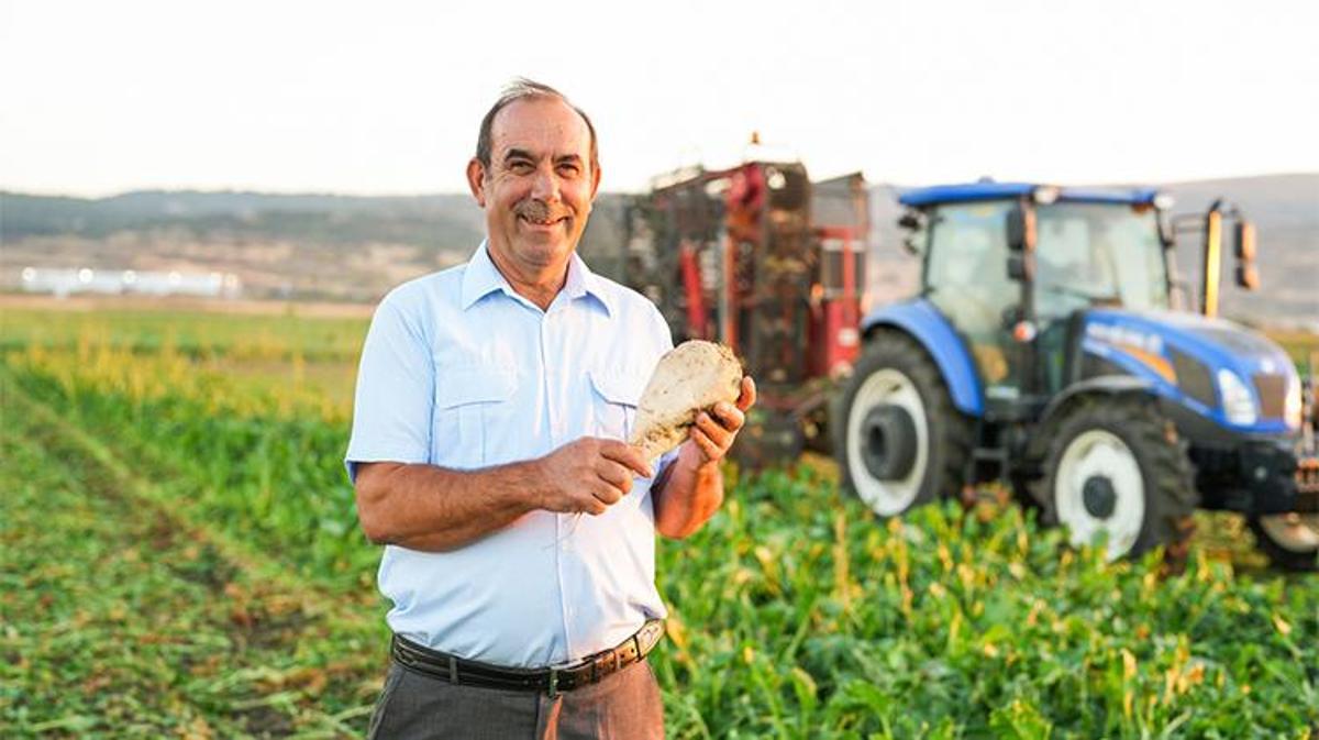 Şeker pancarı alım fiyatı belli oldu! TÜRKŞEKER'den açıklama geldi ...