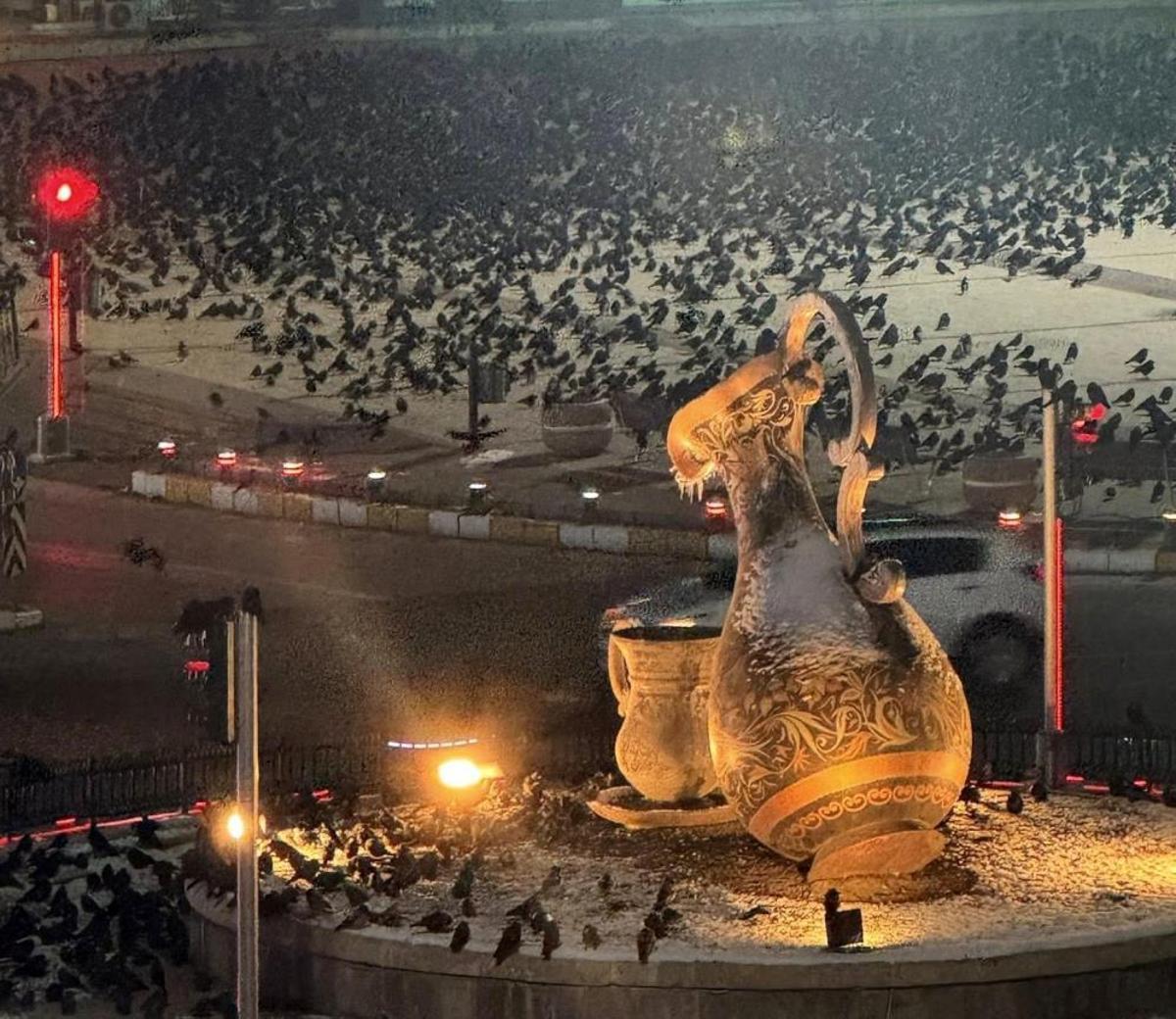 Erzincan’da akşam saatlerinde ortaya çıkıyorlar! Bir anda gökyüzünü ...