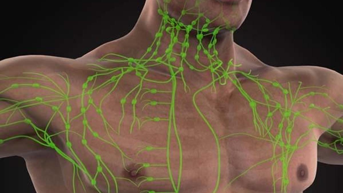 Lenf Bezi nedir? Lenf Bezi ameliyatı nasıl yapılır? - Gazetevatan Haberler