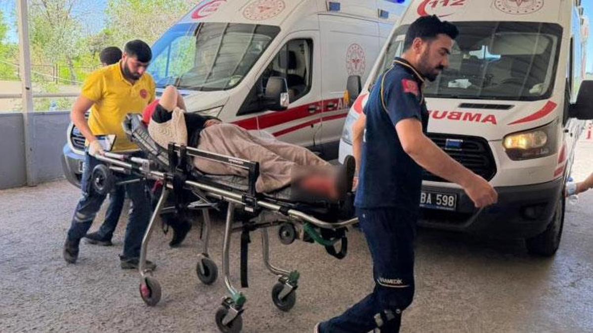 Evine giren yılanı vurmak isterken 5 kişiyi hastanelik etti - Son ...