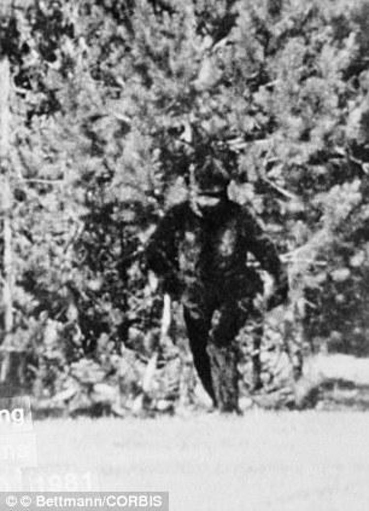 Maymun adam mı, makyaj mı?