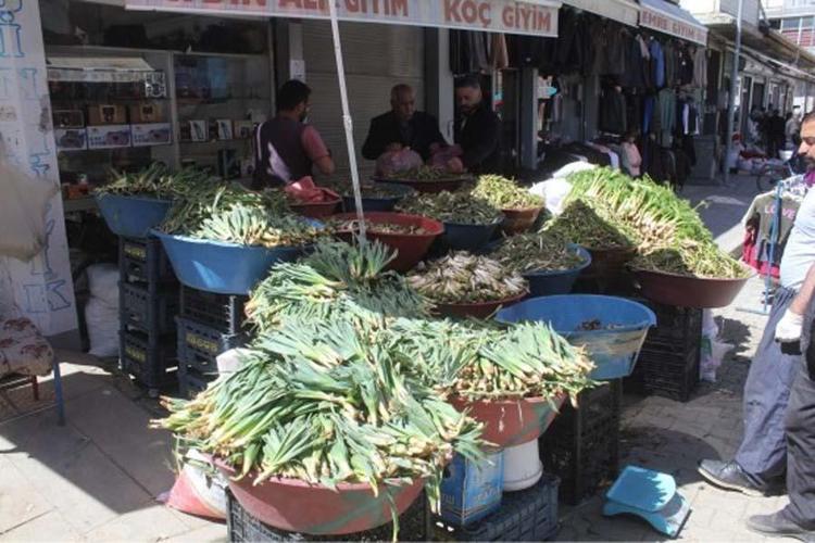 Şifalı otlar tezgâhlardaki yerini aldı - Ekonomi Haberleri