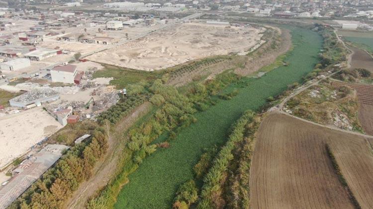 Hatay'da inanılmaz görüntü! Asi Nehri yeşile döndü, su adeta görünmez ...