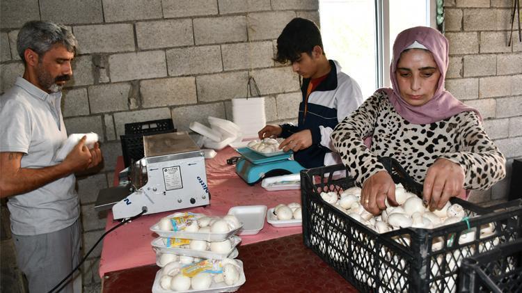 Hibe desteği ile kurdu, şimdi talebe yetişemiyor, paraya para demiyor ...