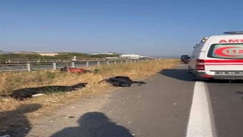 Kazada ölen motosikletli Rus fenomen Tatiana'nın ölümünde kahreden ...