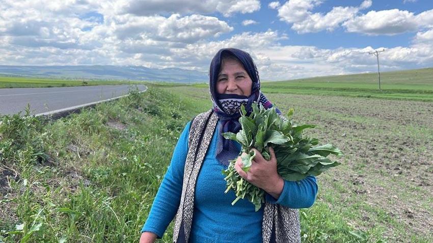 Kars doğasının şifa kaynakları! Şehirde kadınların mesaisi başladı ...