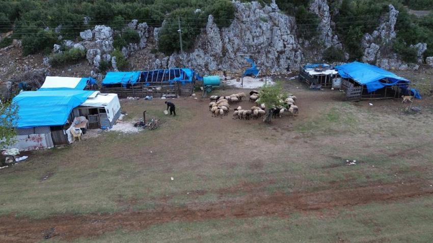 Hatay'da bereketin sembolü olan göl yeniden su tuttu! Yazın mera olarak ...
