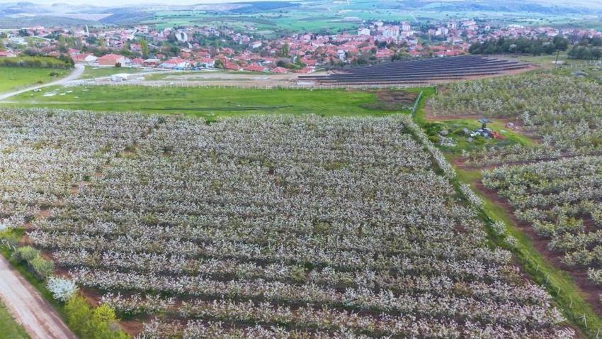 Eskişehir'de kiraz ağaçları beyaza büründü! - Eskişehir Haber Gazetevatan
